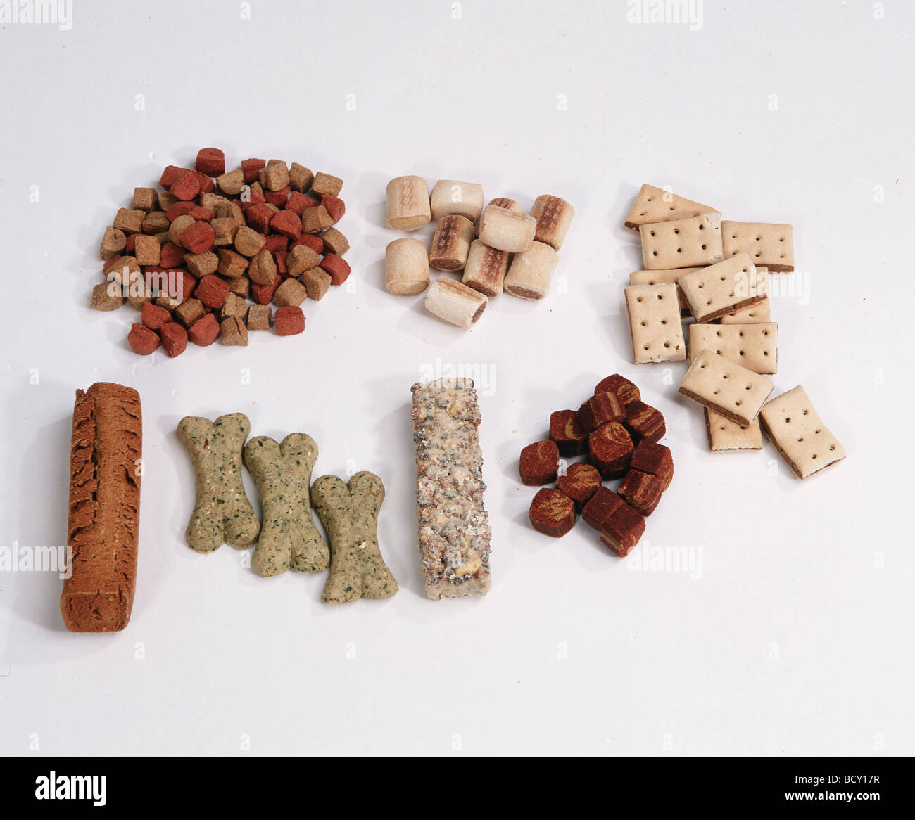 Dainty dogs hi-res stock photography and images - Alamy