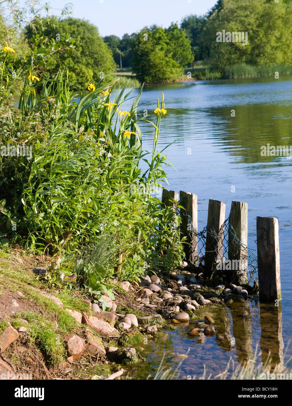 A view across the lake at Colwick Country Park, Nottingham ...