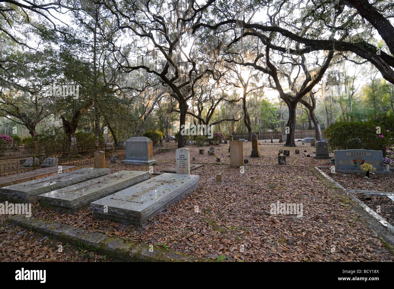 Micanopy historic cemetery Micanopy Florida Stock Photo - Alamy