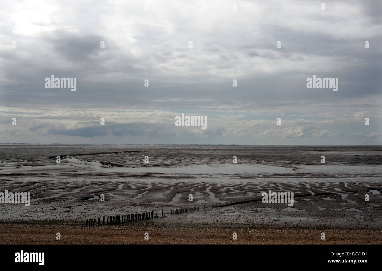 Low tide on the Wash at Snettisham RSPB nature reserve on the North ...