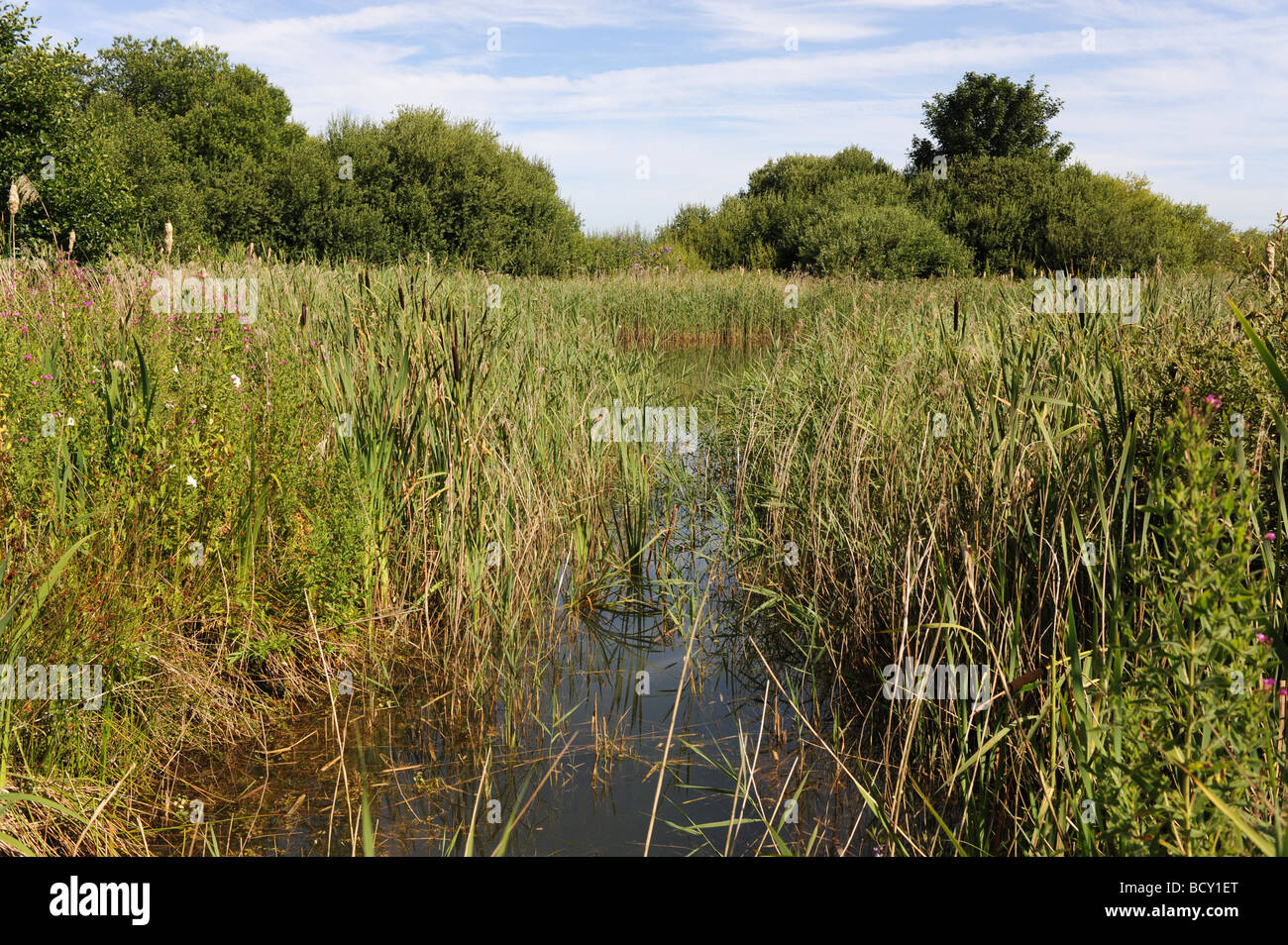 The RSPB Titchwell Marsh nature reserve on the North Norfolk coast UK ...