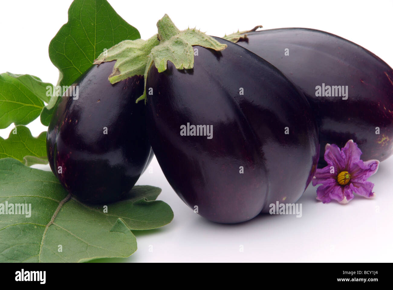 Aubergine auberginen hi-res stock photography and images - Alamy
