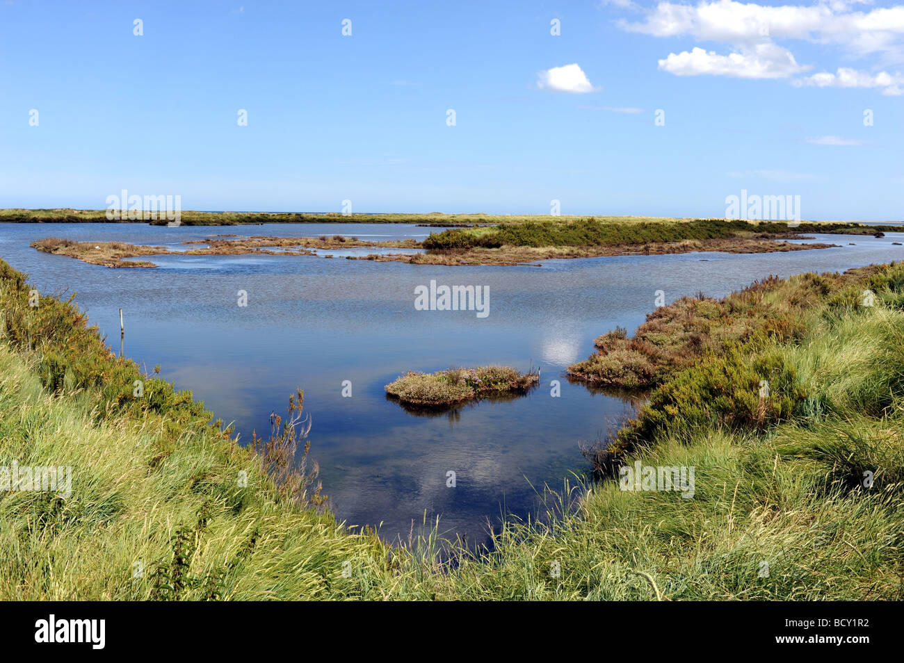 Titchwell rspb reserve north norfolk hi-res stock photography and ...