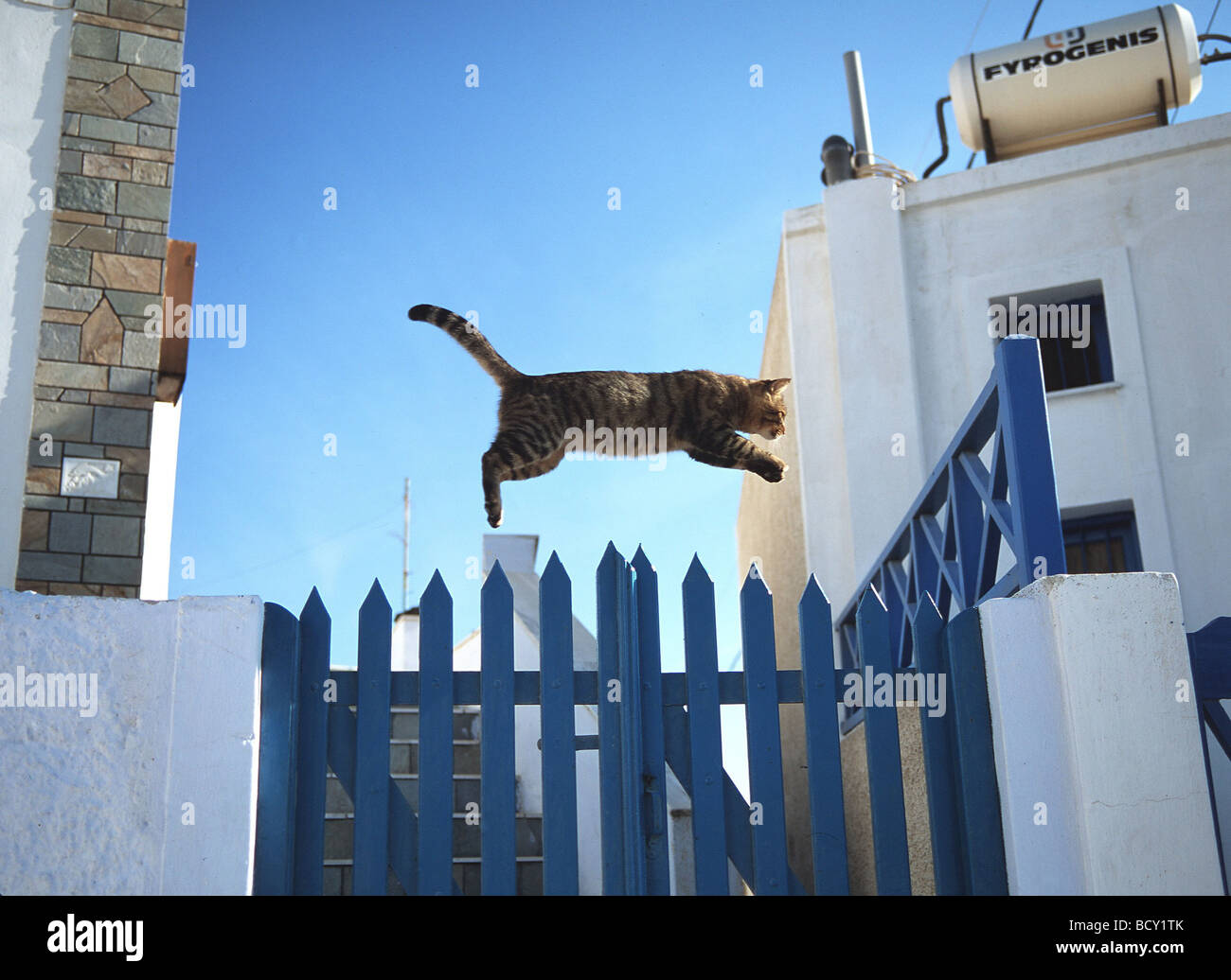 Jumping the gate hi-res stock photography and images - Alamy