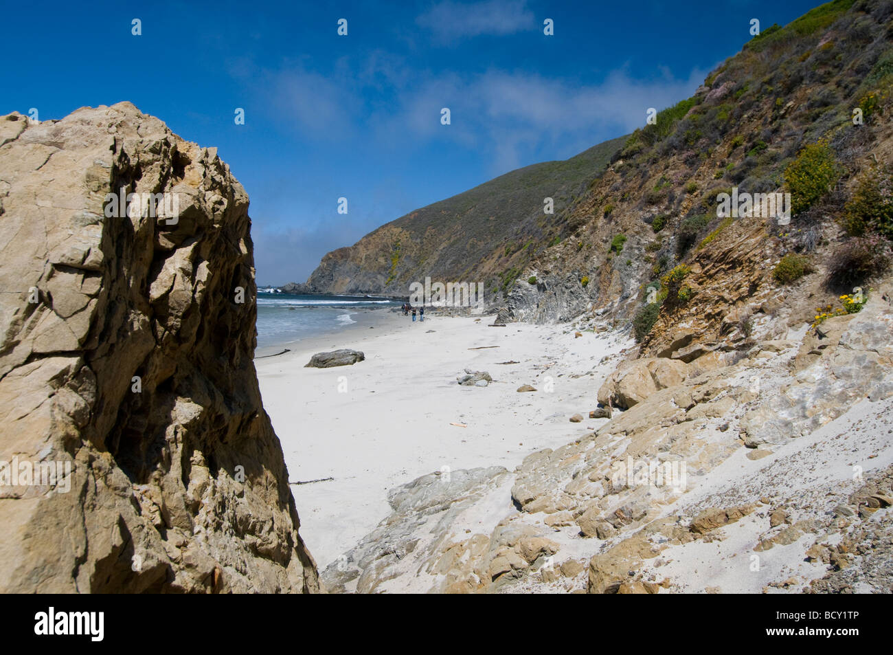 Pfeiffer State beach Big Sur California Stock Photo - Alamy