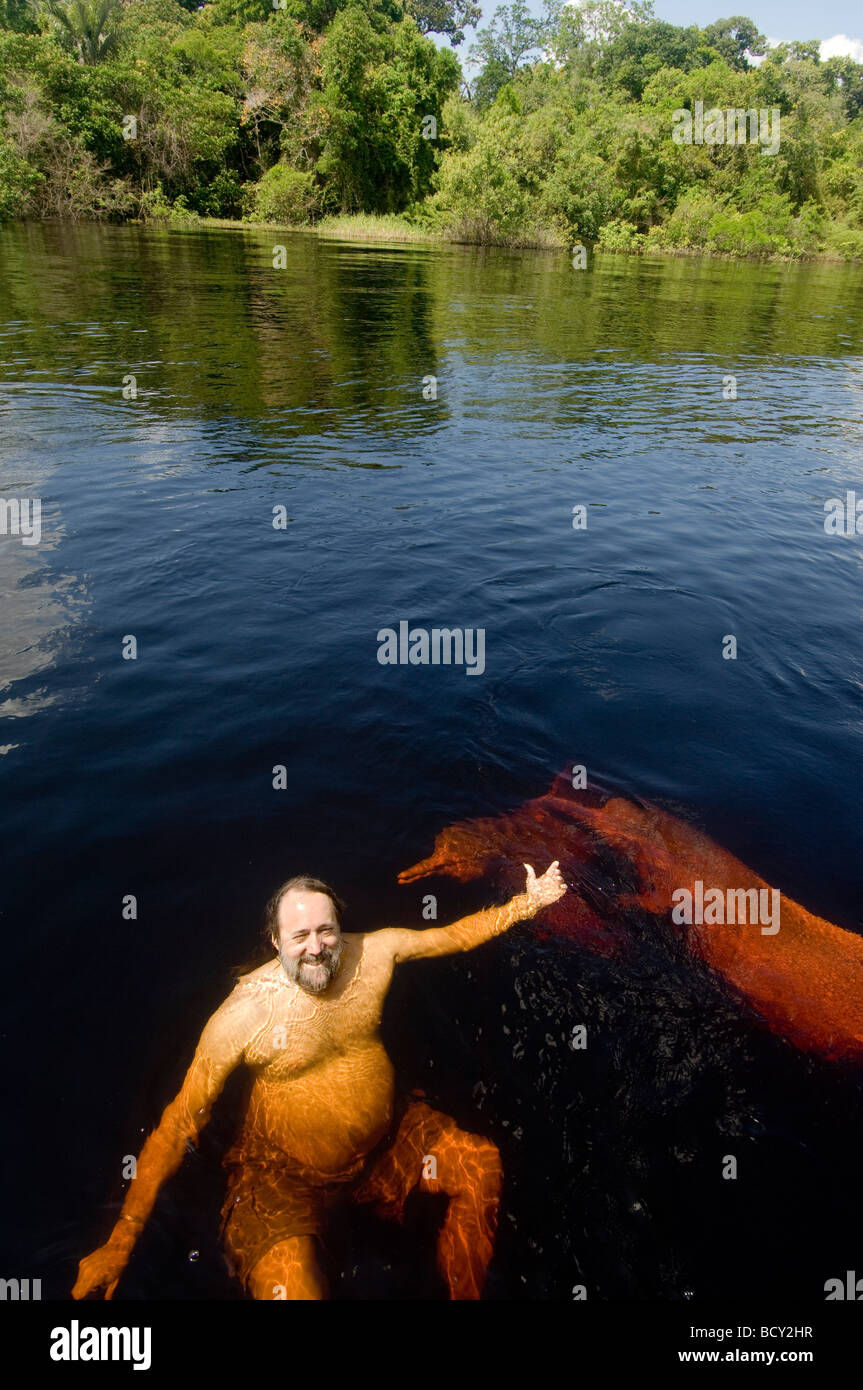 Swimming with the Amazonian pink dolphin (Inia geoffrensis), also know ...