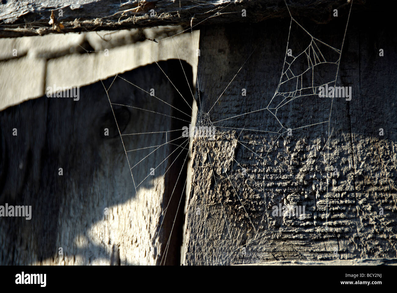 spider's web on old house facade Stock Photo - Alamy
