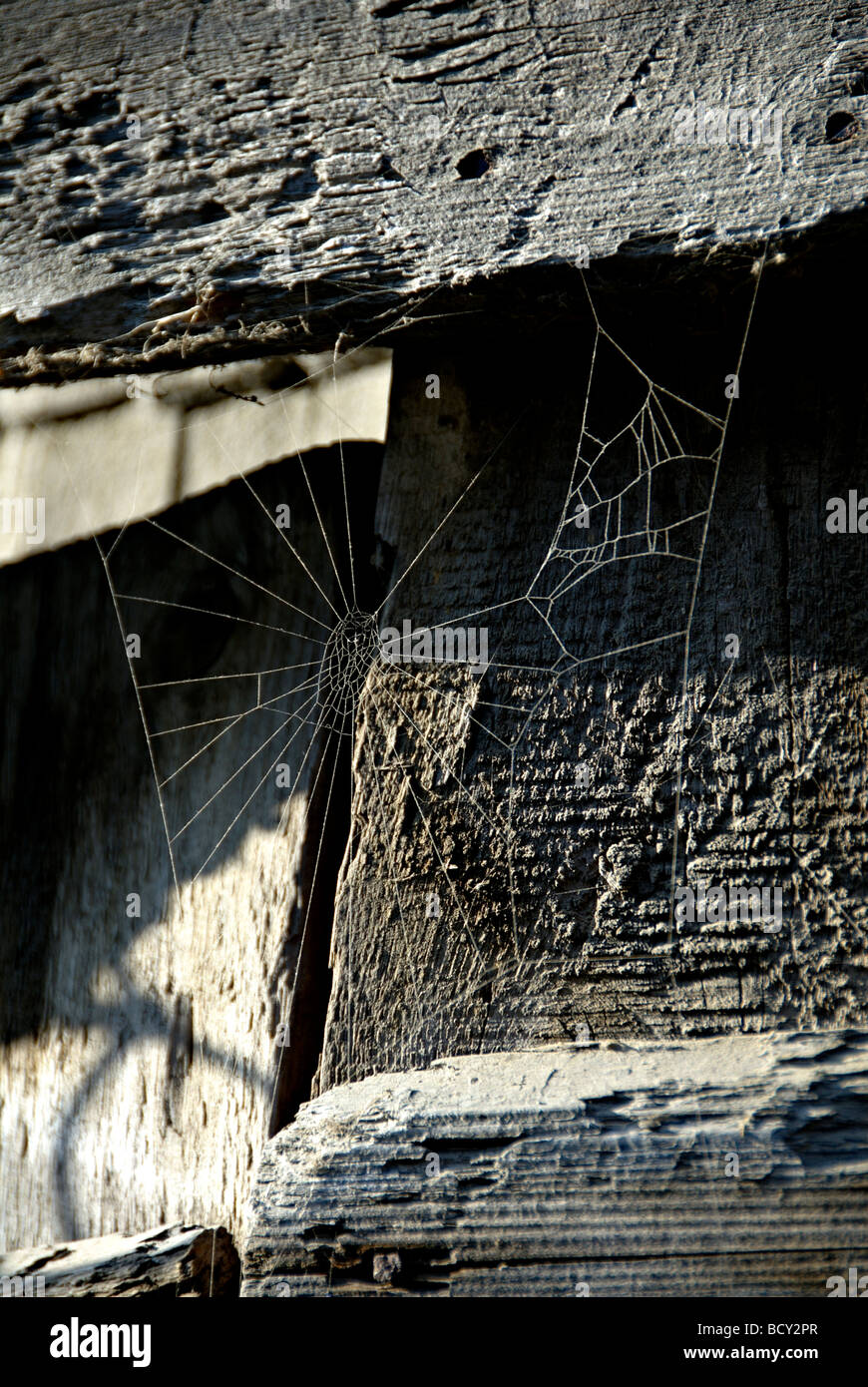 spider's web on old house facade Stock Photo - Alamy