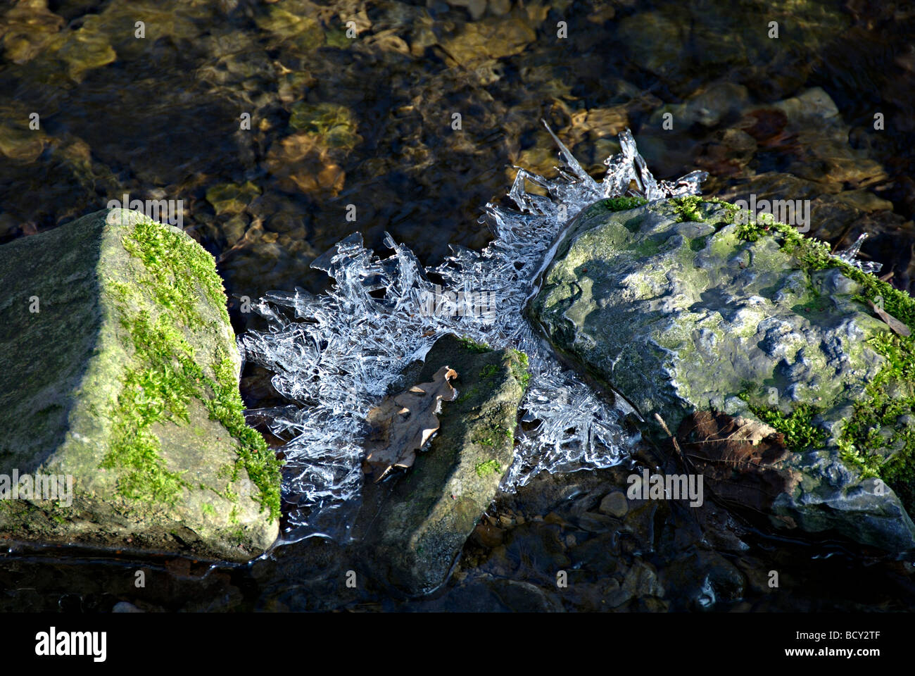 Ice crystals on the river Stock Photo - Alamy