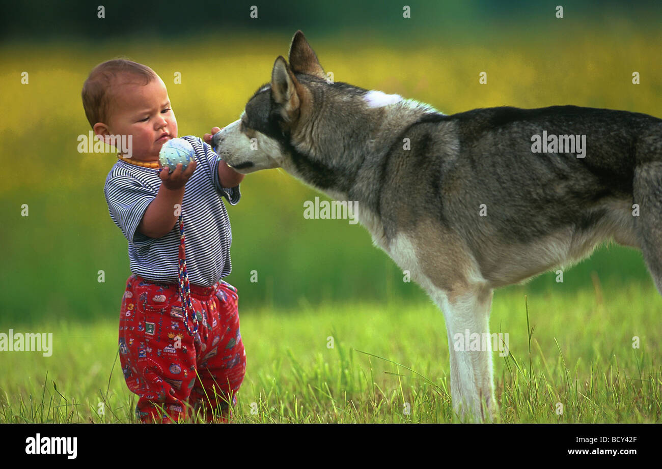 dog and child Stock Photo - Alamy