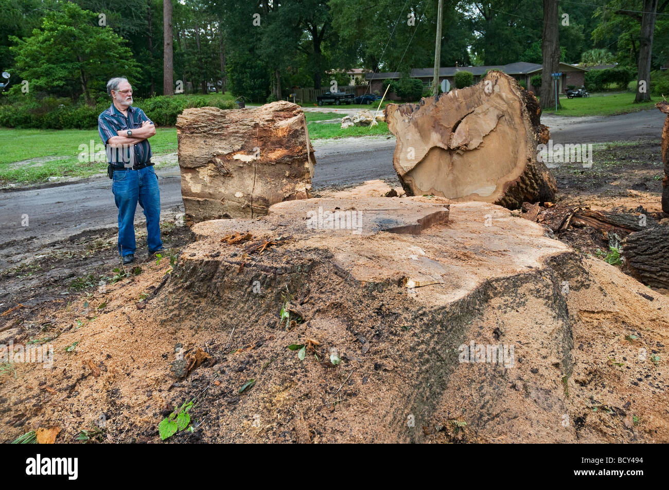 Old oak yard hi-res stock photography and images - Alamy