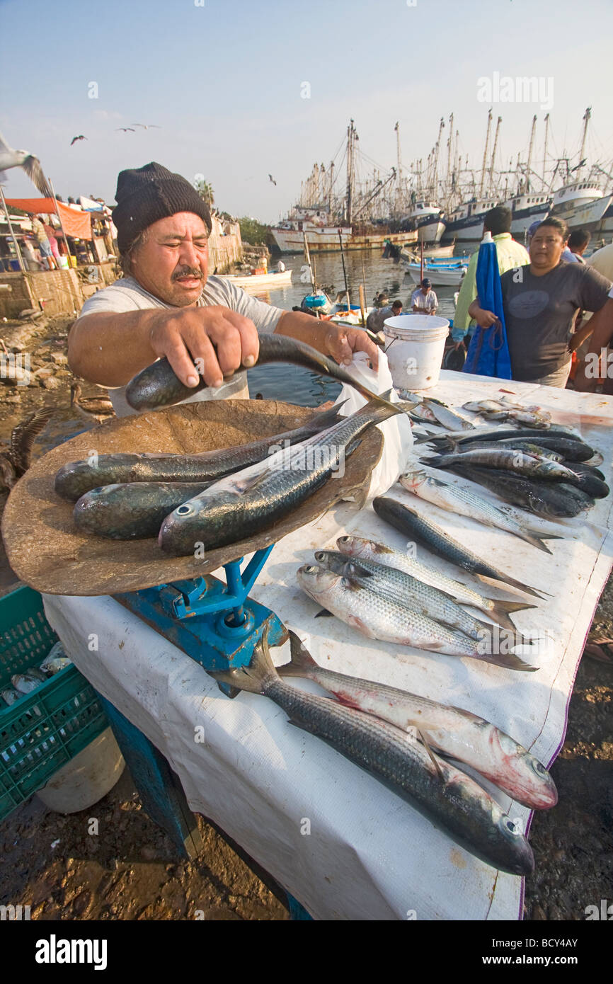 Lisa fish hi-res stock photography and images - Alamy