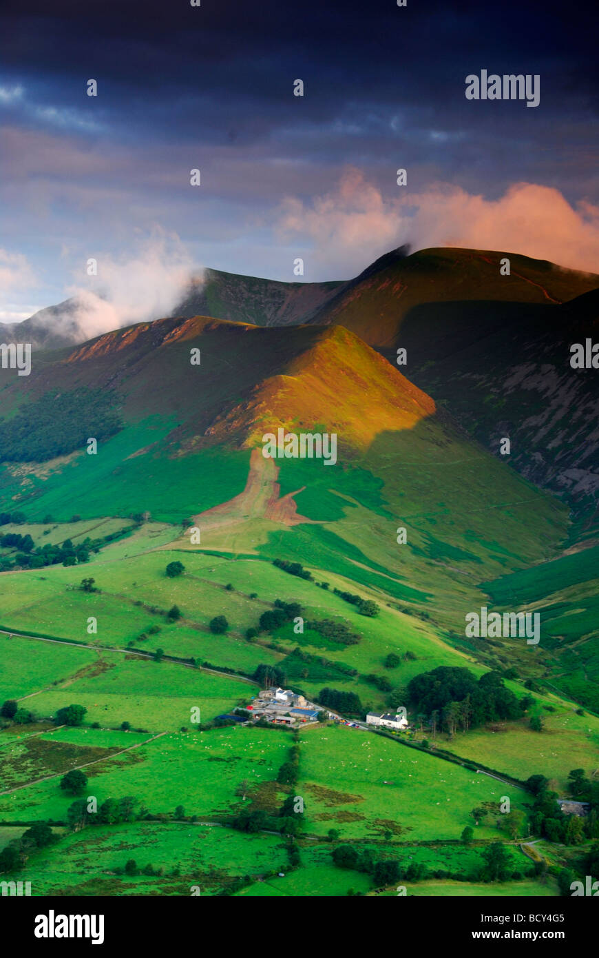 Scar ard hi-res stock photography and images - Alamy