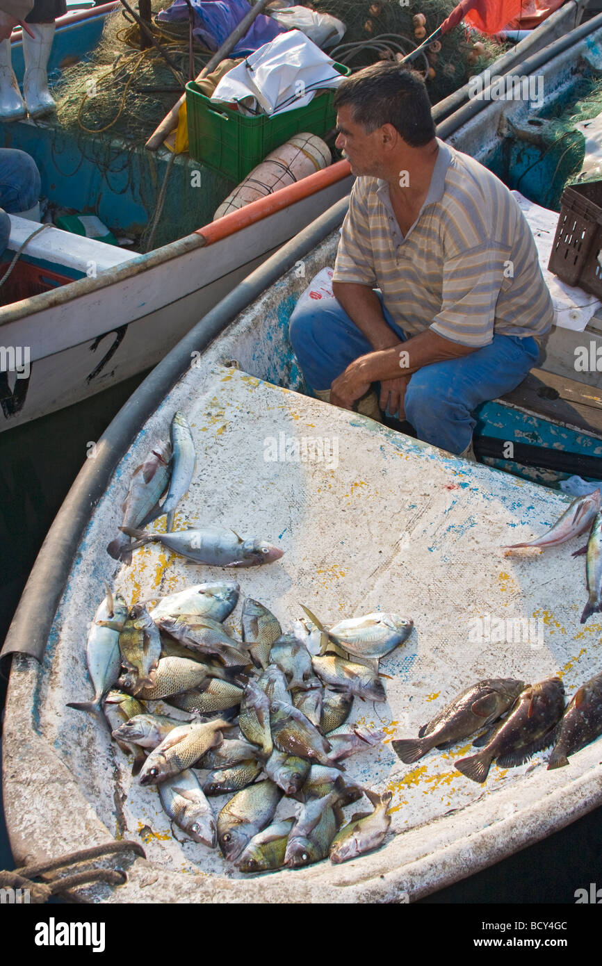 Fisherman clean fresh caught fish in early morning at Embarcadero dock ...