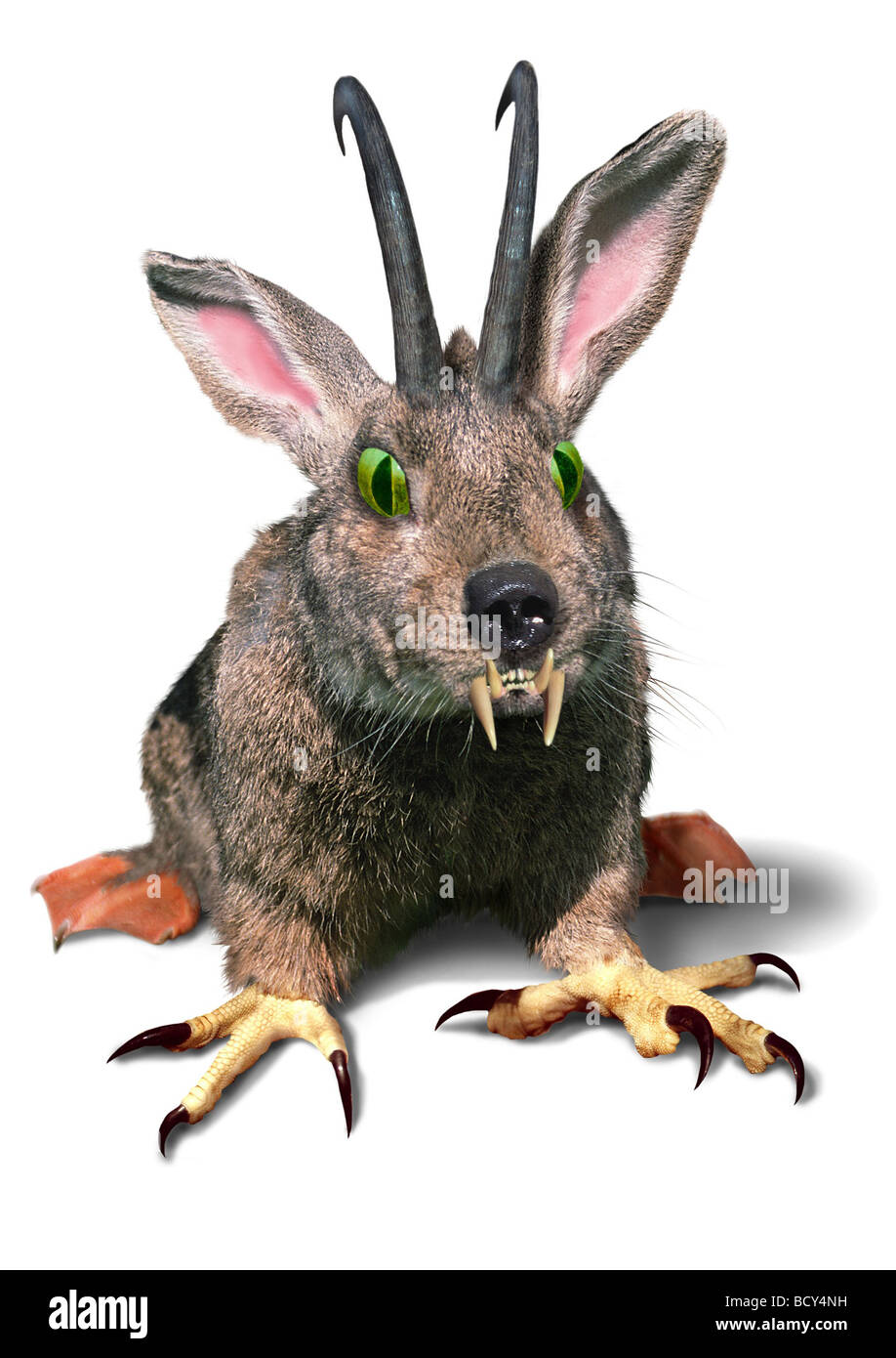 Body composed Cut Out Stock Images & Pictures - Alamy