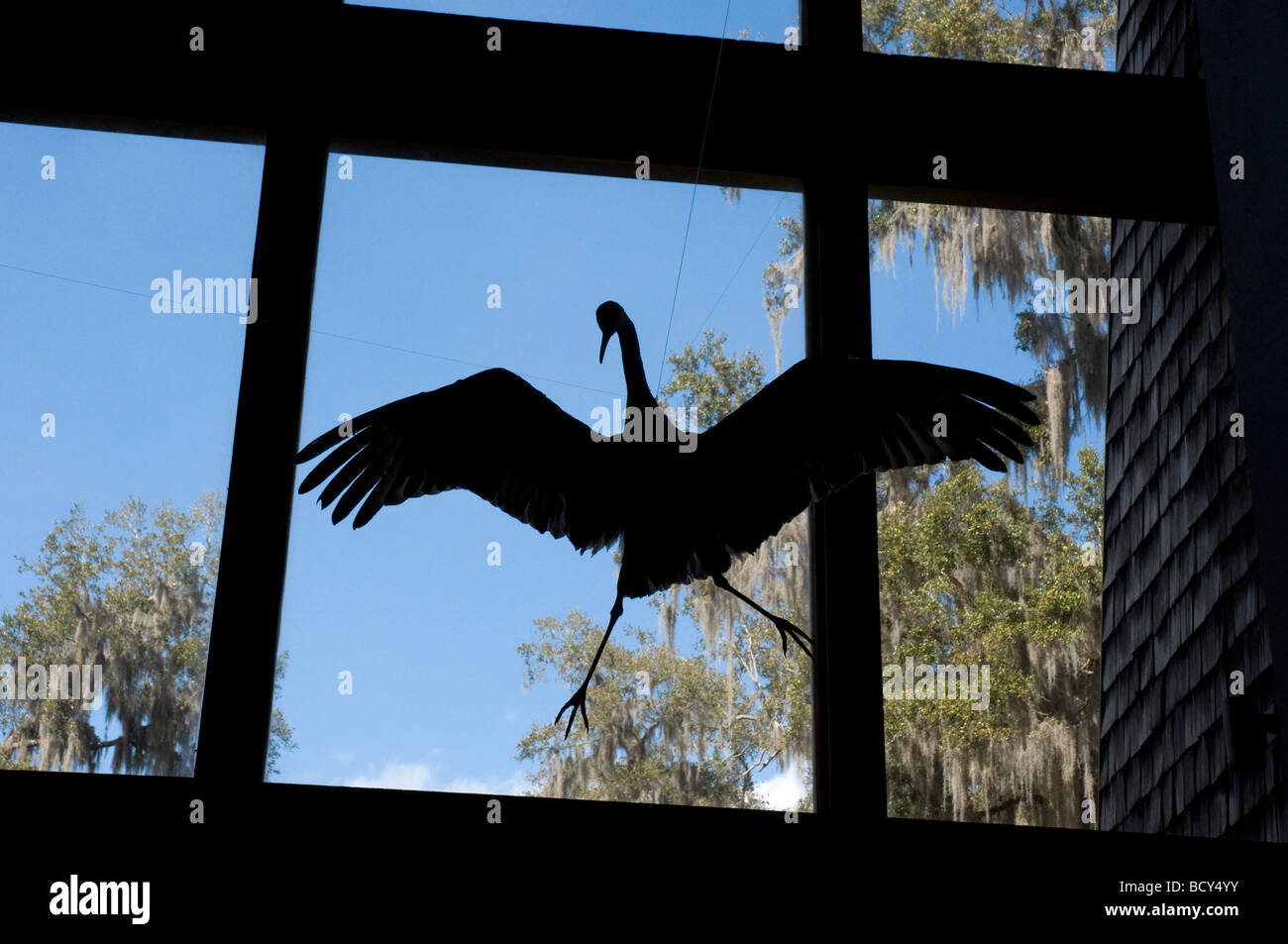 stuffed sandhill crane is suspended from ceiling of visitor center ...