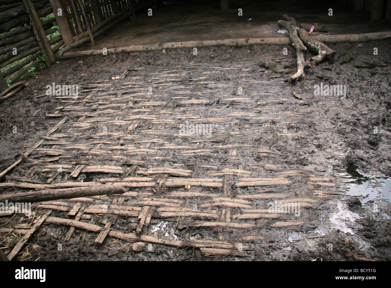 The wattle floor of a tribal cattle pen within the Anshi National Park ...
