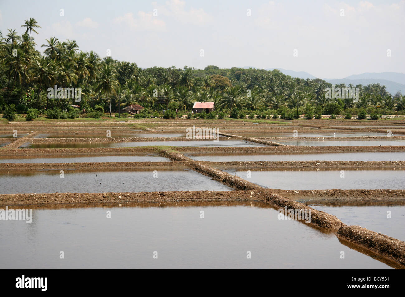 Salt pans in northern Karnataka, India. It was once illegal for Indians ...