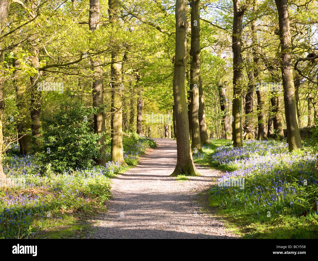 Charnwood borough hi-res stock photography and images - Alamy