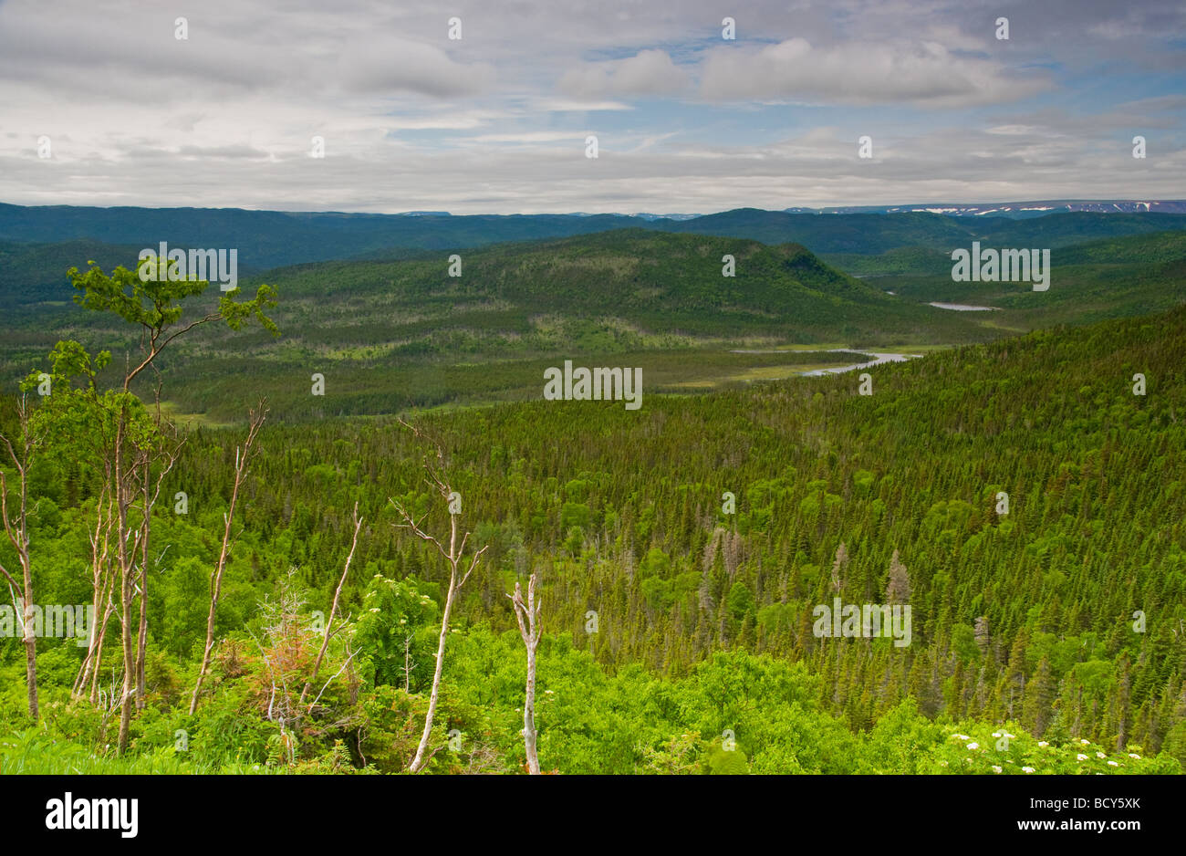 A view of western Newfoundland Stock Photo - Alamy