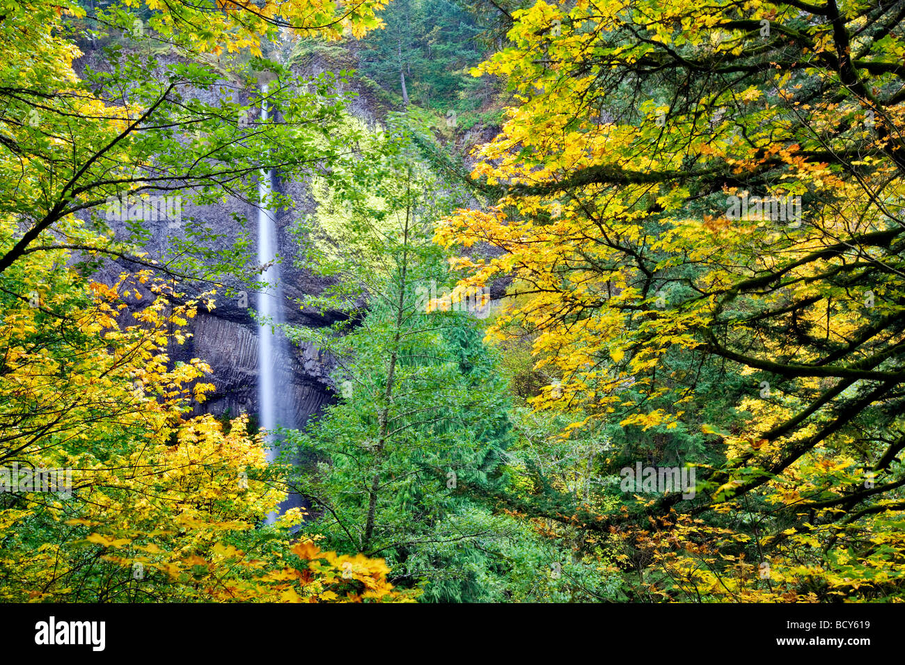Latourell falls oregon hi-res stock photography and images - Alamy