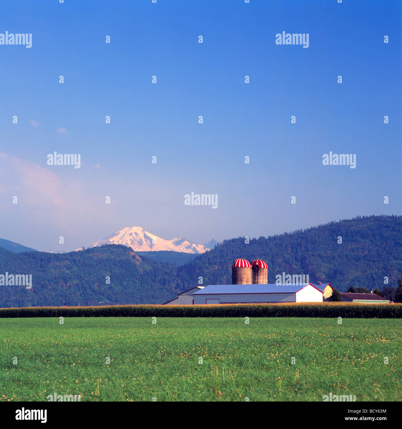 Farm Buildings and Cascade Mountains in Fraser Valley of Southwestern ...