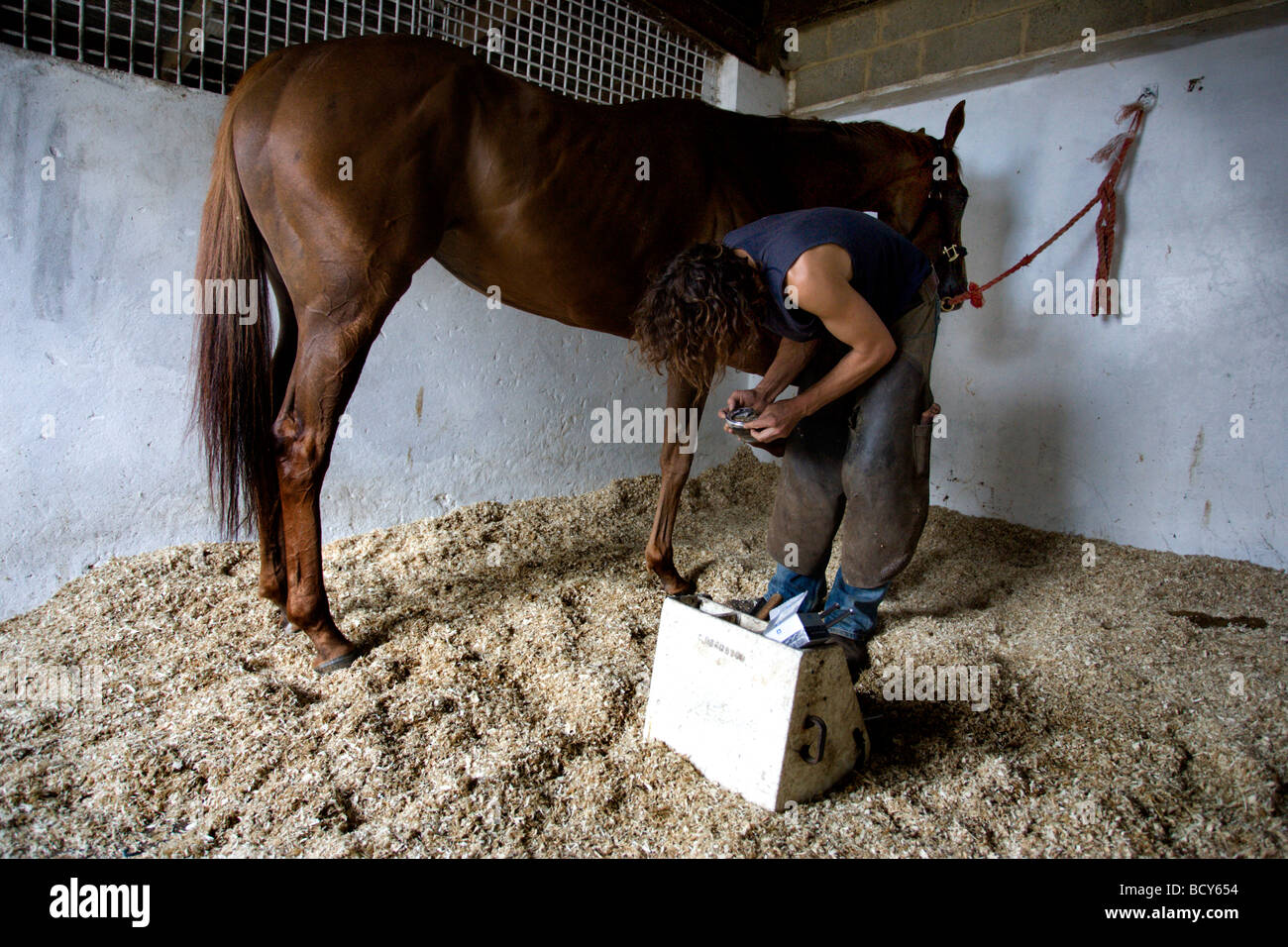Blacksmith and Farrier Steve Dean of C.Dean and Son, pictured replacing ...