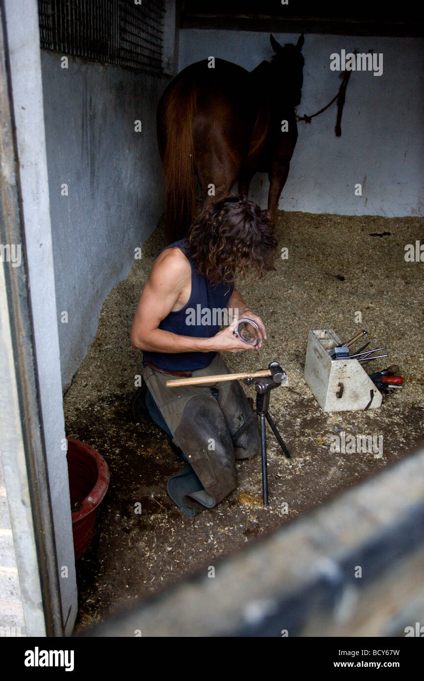 Blacksmith and Farrier Steve Dean of C.Dean and Son, pictured replacing ...