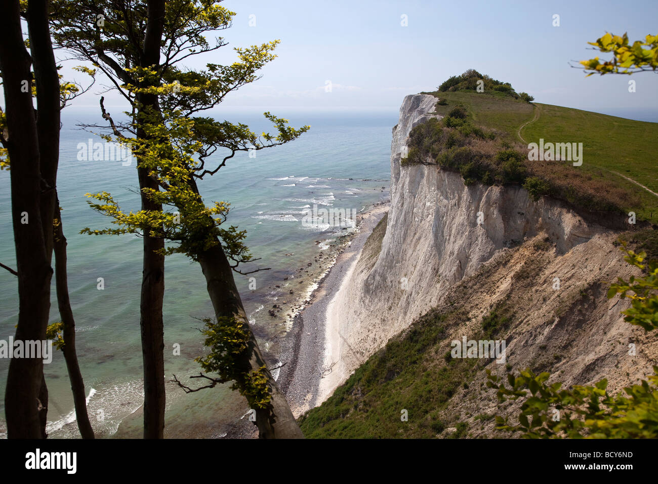 Møns Klint chalk cliffs, Møn Island, Denmark, Europe Stock Photo - Alamy