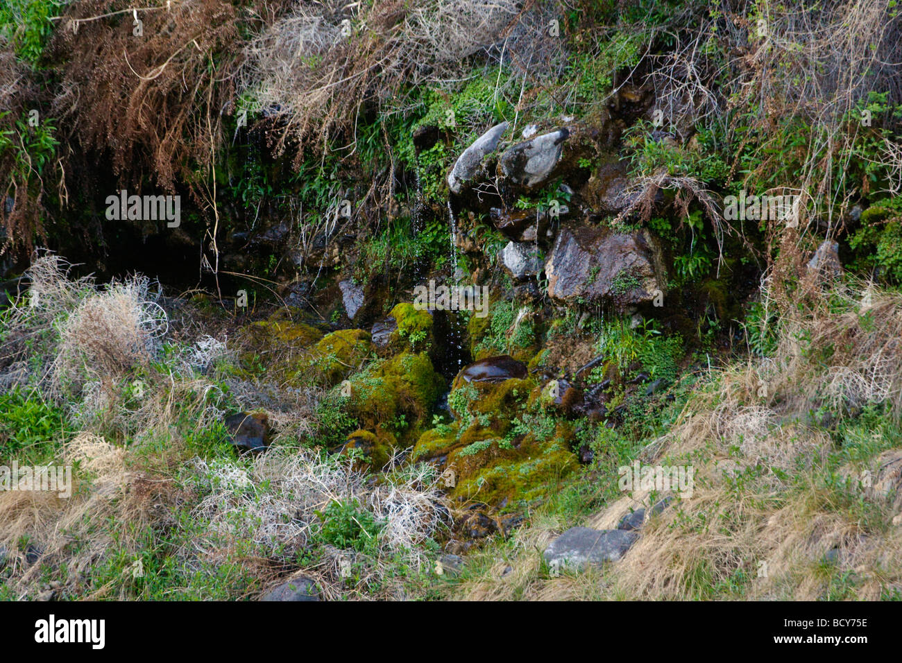 D300 High Resolution Stock Photography and Images - Alamy