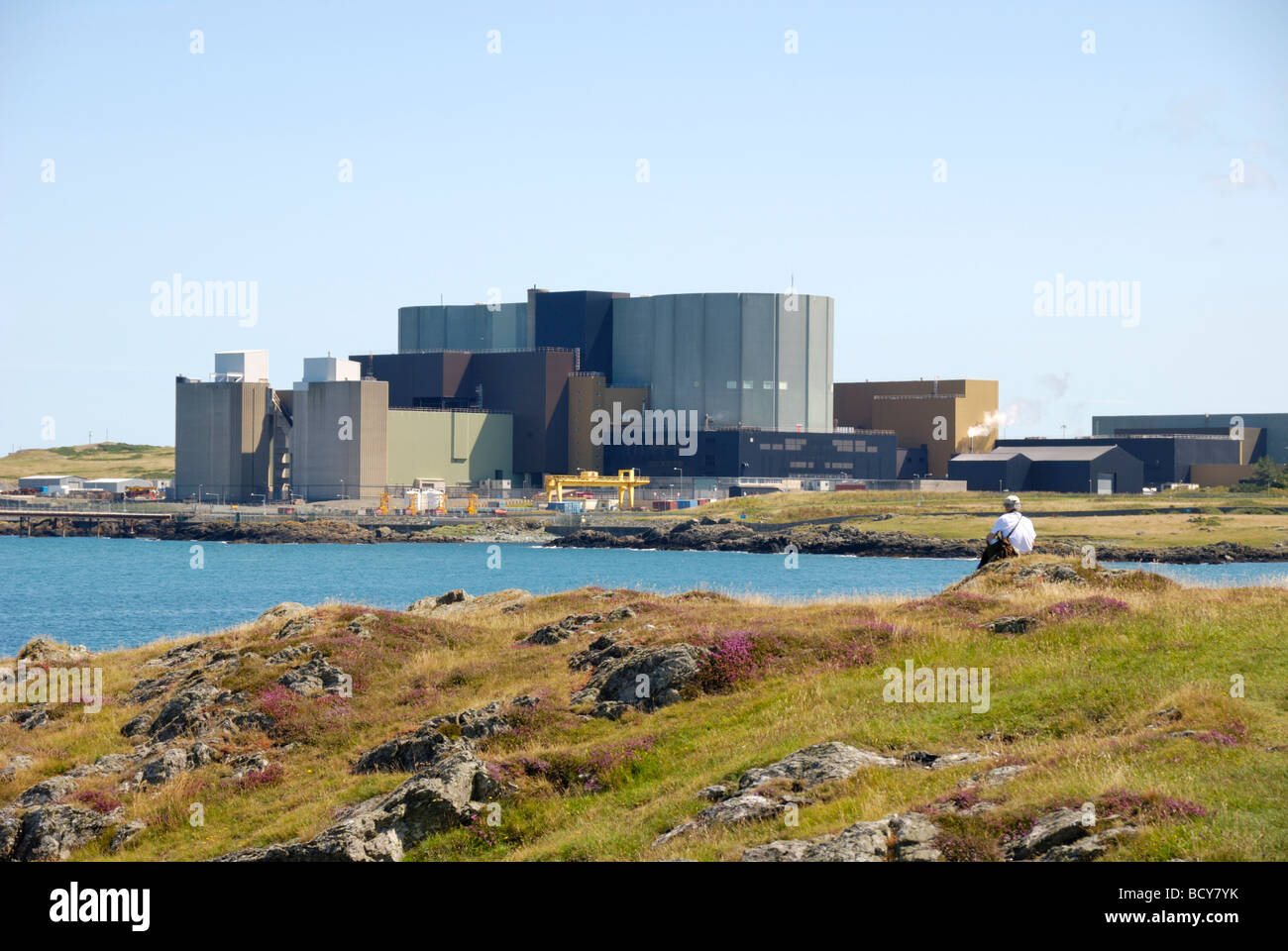 Wylfa nuclear power plant Anglesey North Wales Stock Photo - Alamy
