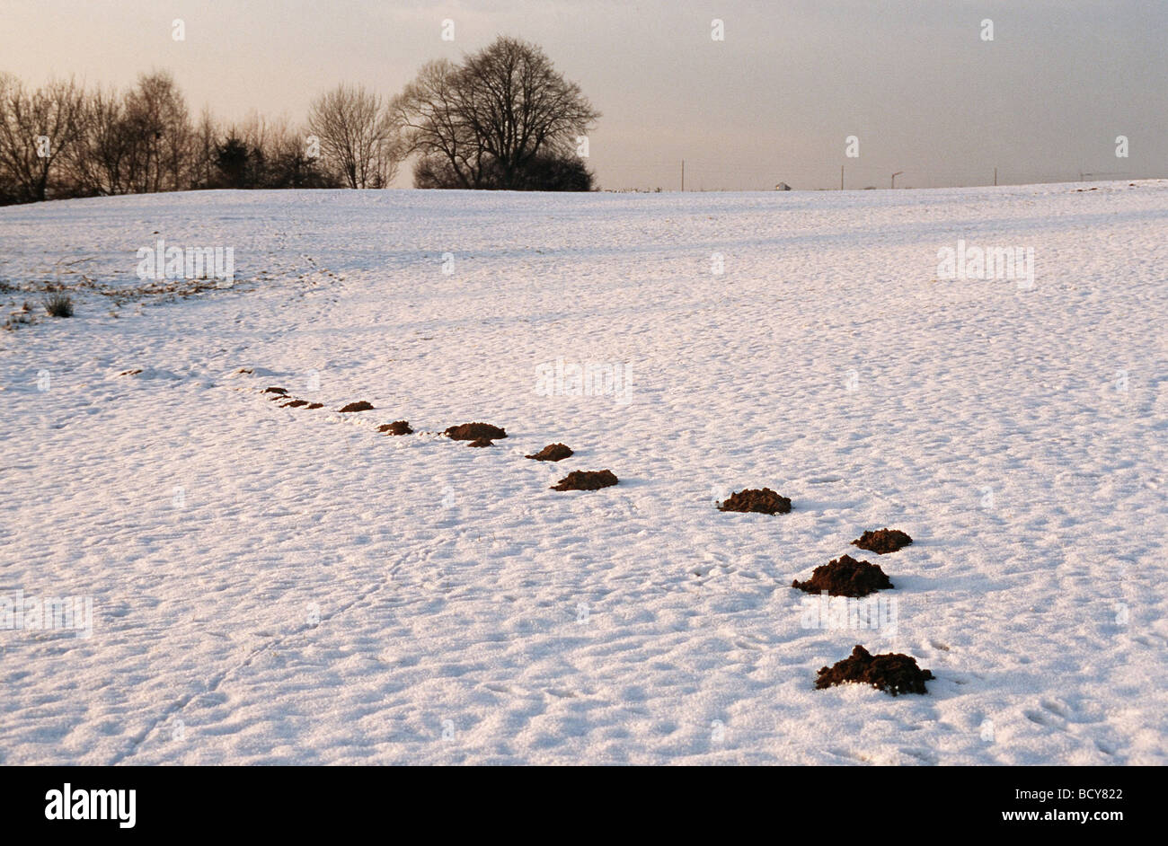 Mole hump High Resolution Stock Photography and Images - Alamy
