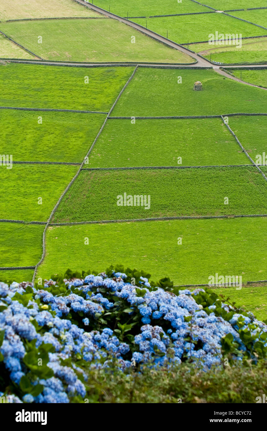Farm fields in the Terceira island in Azores Stock Photo - Alamy