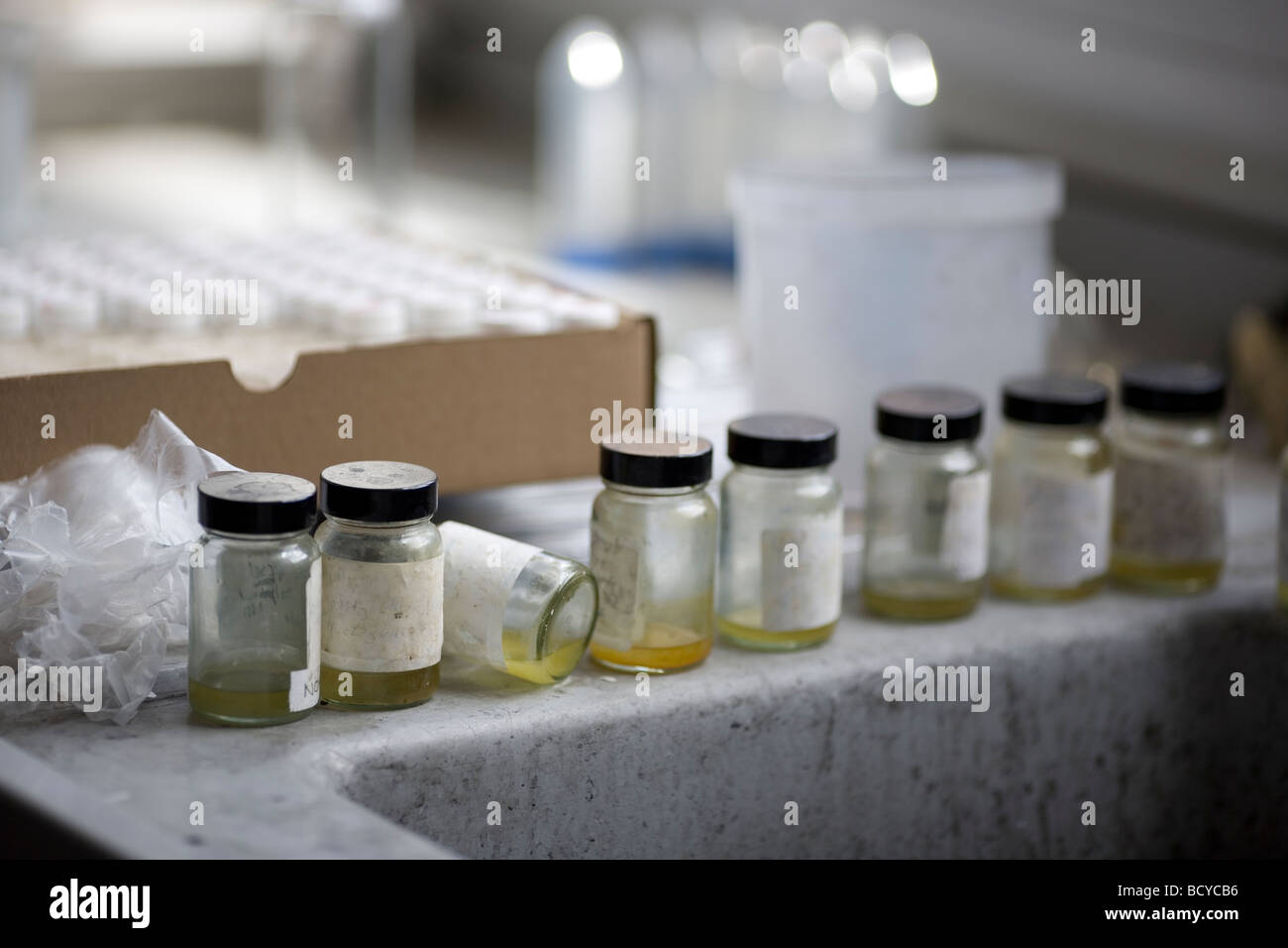 Yellow Liquid jars by sink Stock Photo - Alamy