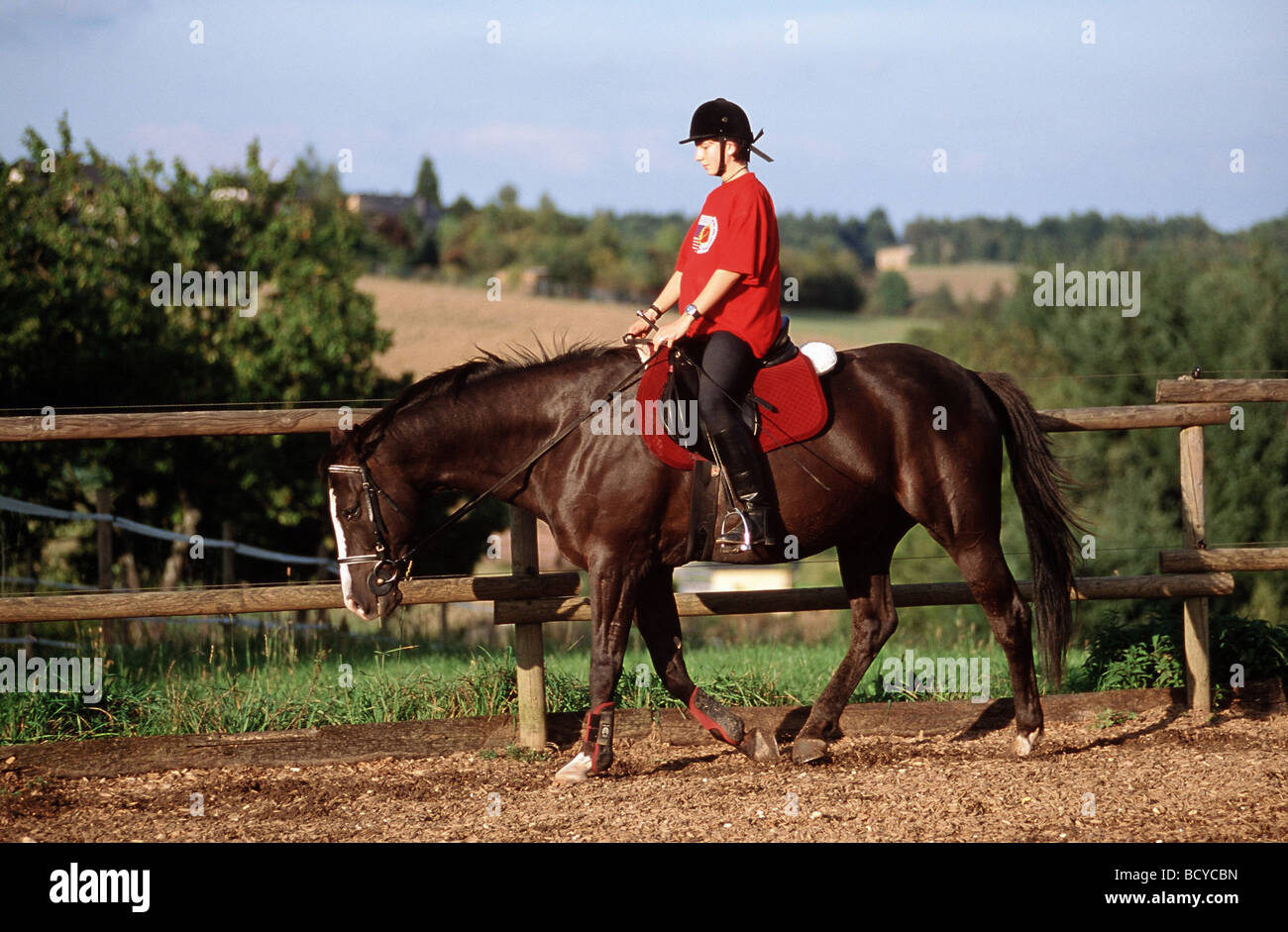 rider with horse Stock Photo - Alamy