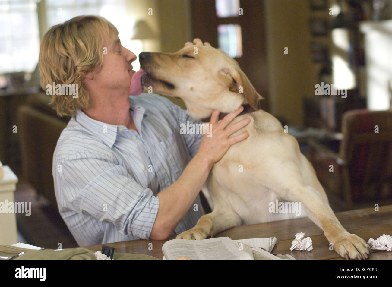 Marley and me Stock Photo - Alamy