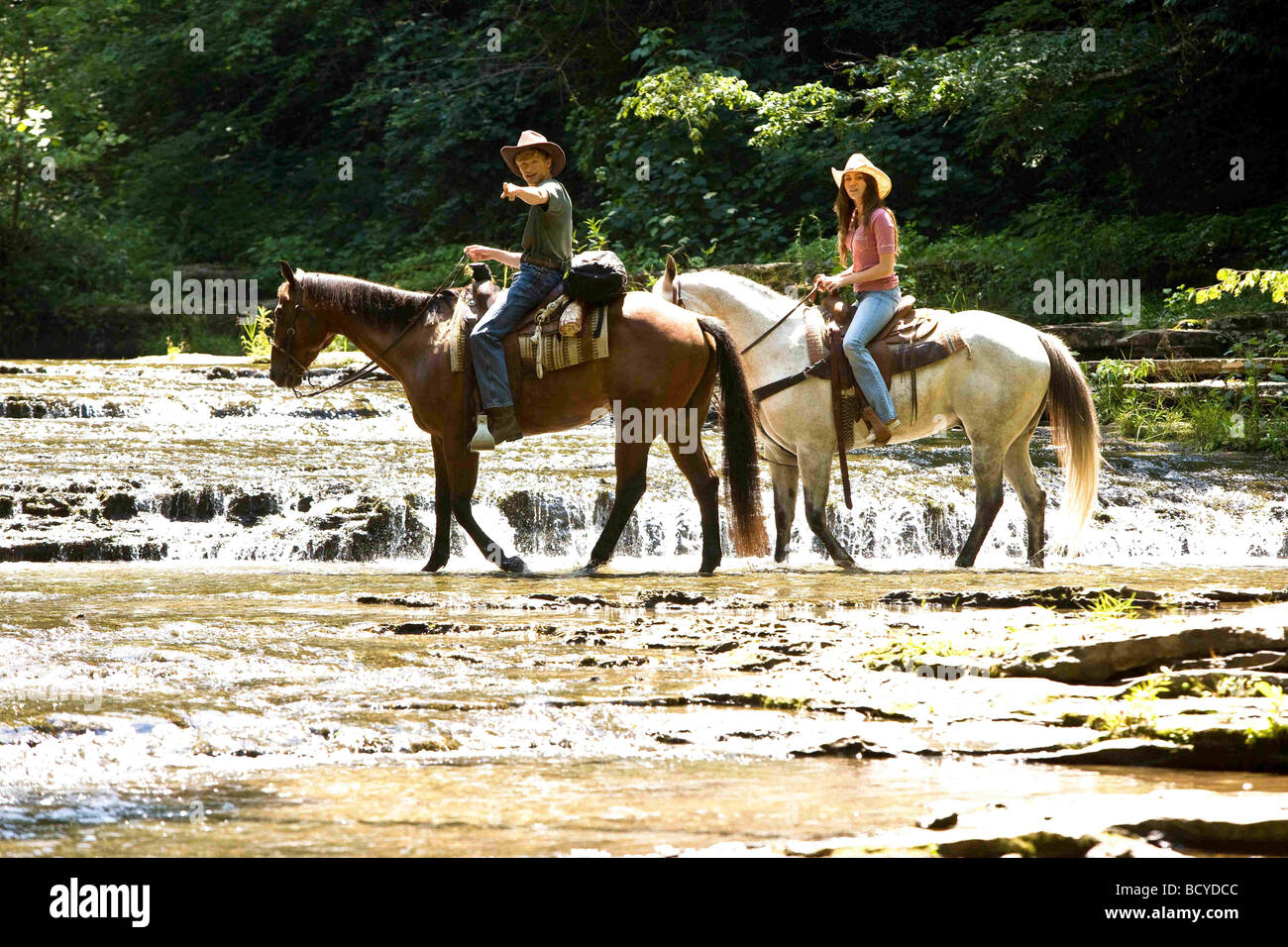 Hannah Montana: The Movie Année : 2009 Director : Peter Chelsom Lucas ...