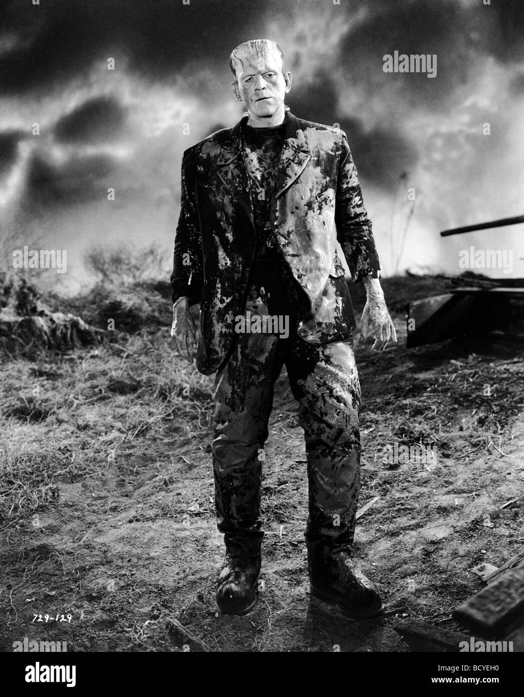 Frankenstein hi-res stock photography and images - Alamy