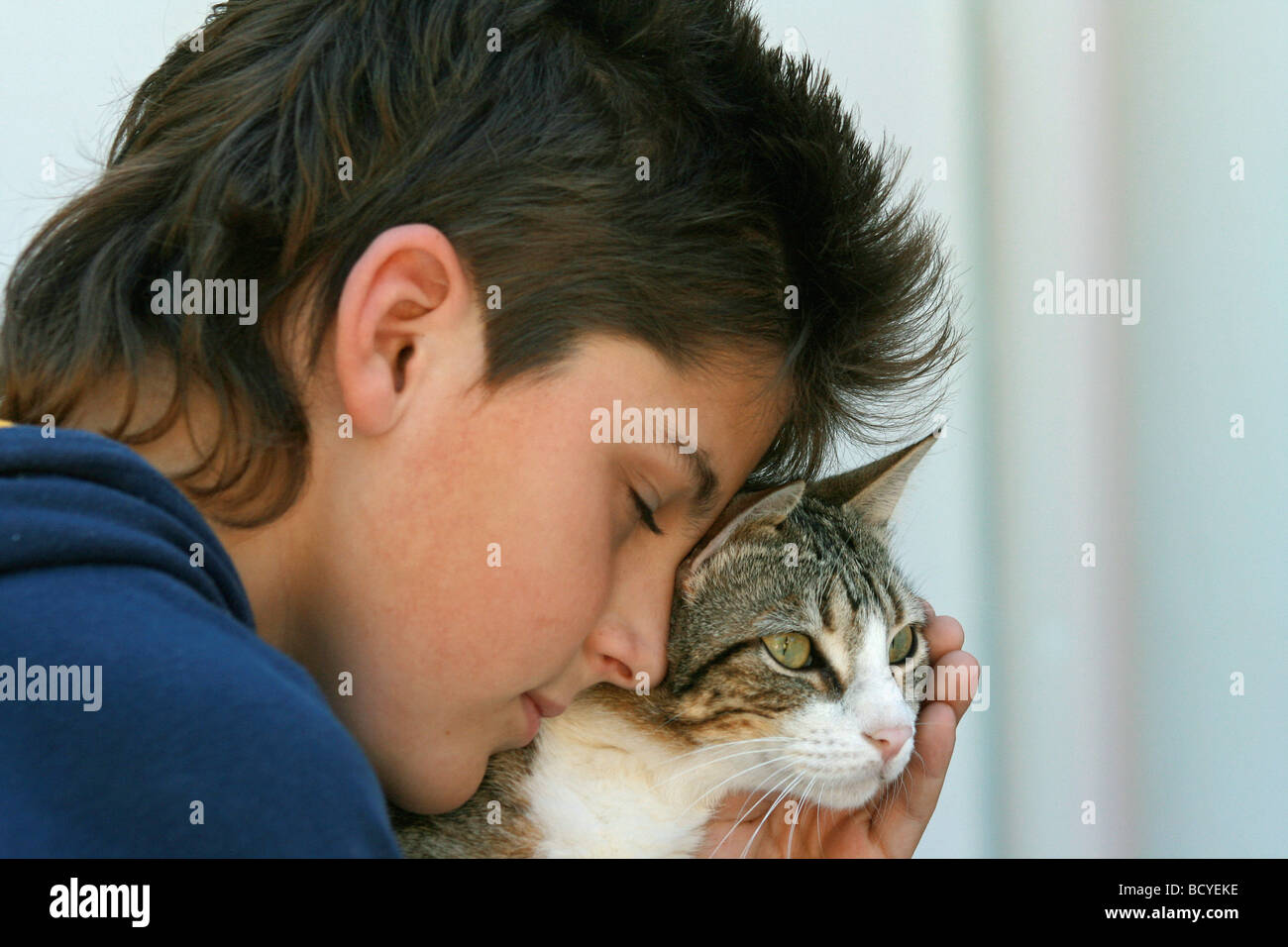boy with domestic cat Stock Photo - Alamy