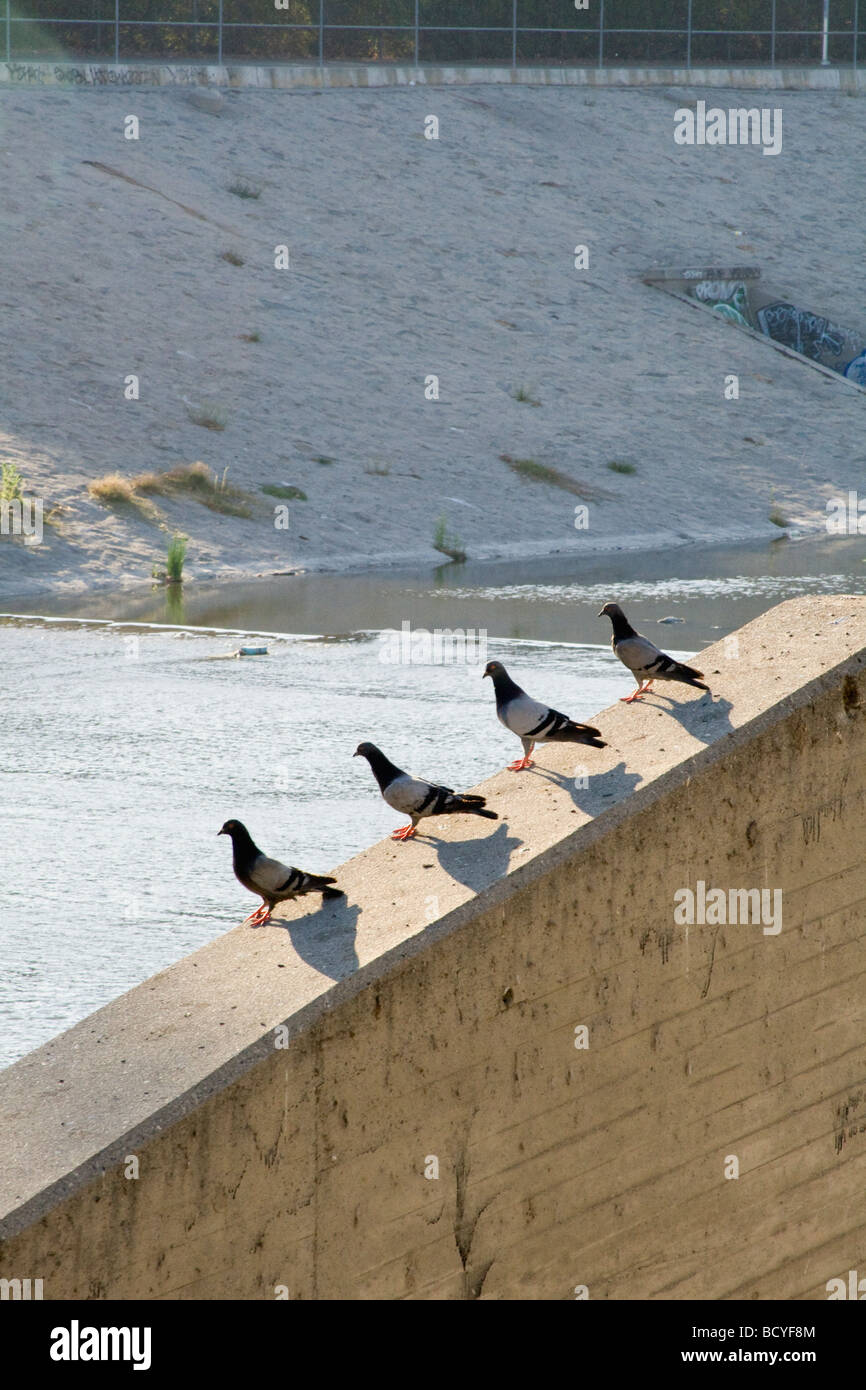 Order images hi-res stock photography and images - Alamy