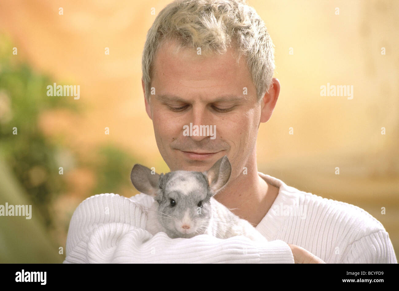 Chinchillas with humans hi-res stock photography and images - Alamy