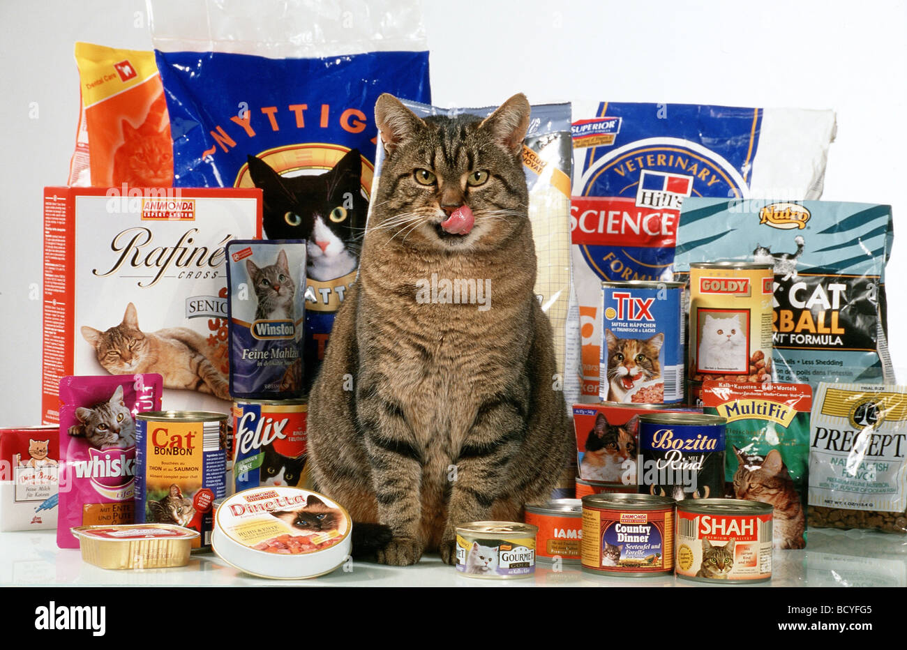Cat packaging hi-res stock photography and images - Alamy