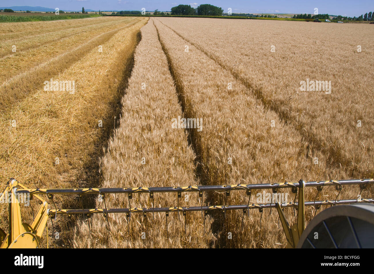 Close up combine harvesting wheat hi-res stock photography and images ...
