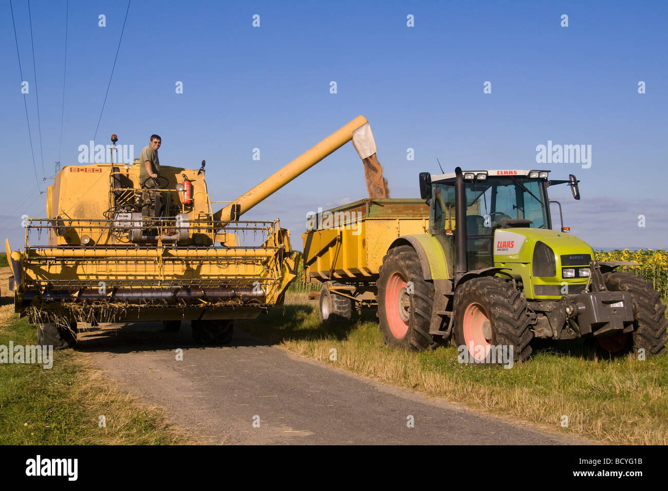 Wheat harvesting, France Stock Photo - Alamy