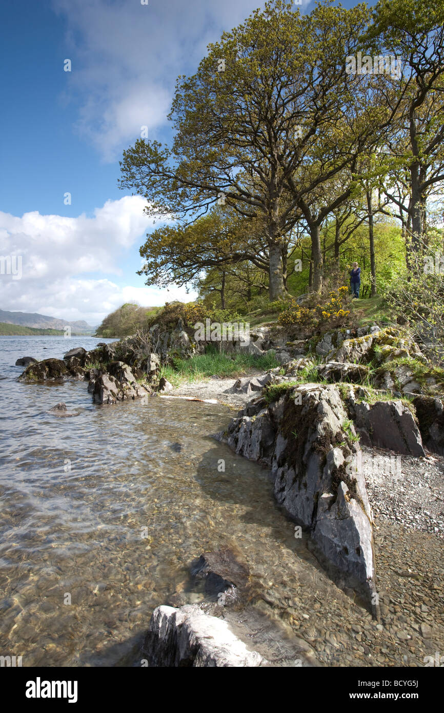 Coniston Water in the Lake District, Cumbria, England Stock Photo - Alamy