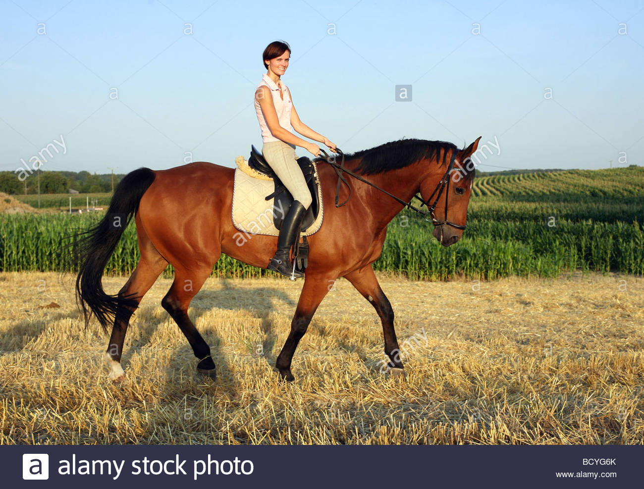 Reitstiefel High Resolution Stock Photography and Images - Alamy