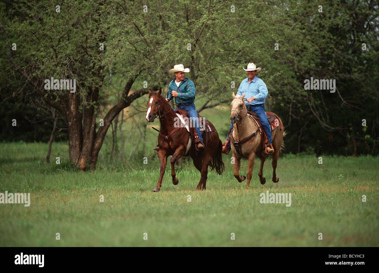 Two Cowboys galloping on horseback Stock Photo - Alamy