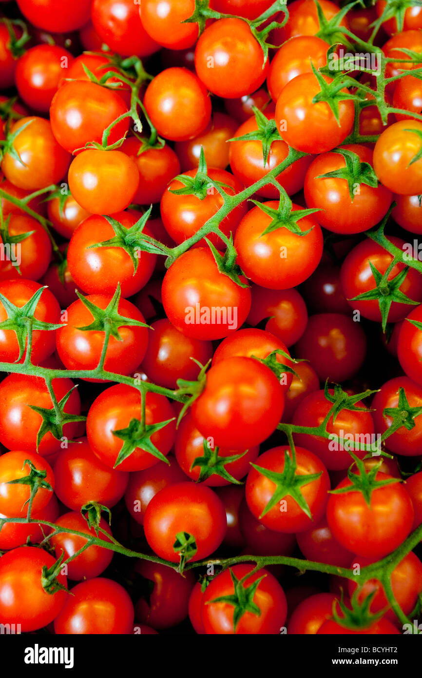 Vine tomatoes hi-res stock photography and images - Alamy