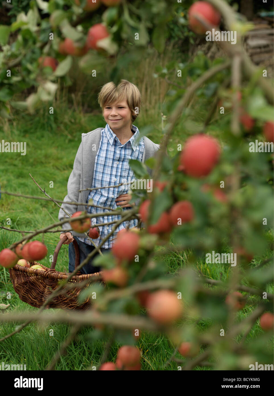 Boy picking eating fresh apples hi-res stock photography and images - Alamy
