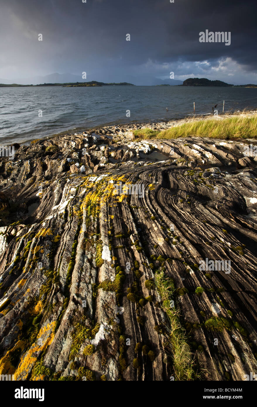 Eriska hi-res stock photography and images - Alamy